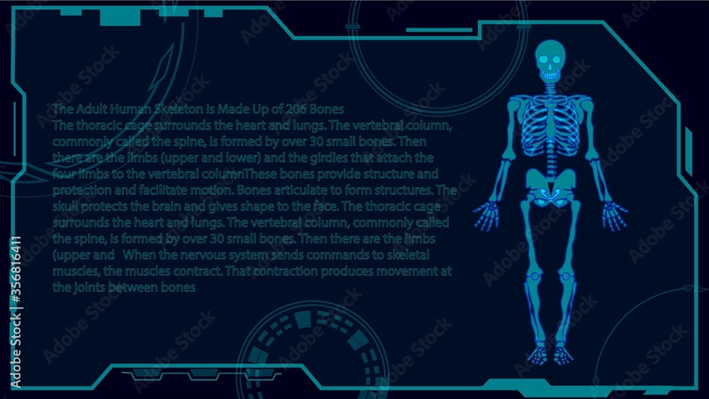 16:9 hud interface,futuristic human body,hud biology elelemt,Display ...