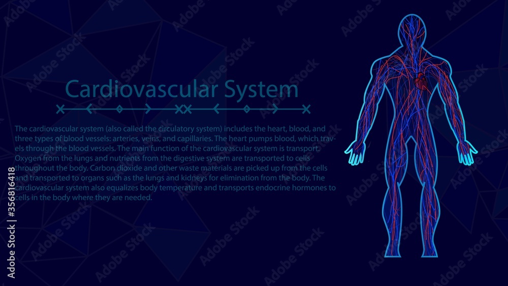 16:9 hud interface,futuristic human body,hud biology elelemt,Display ...