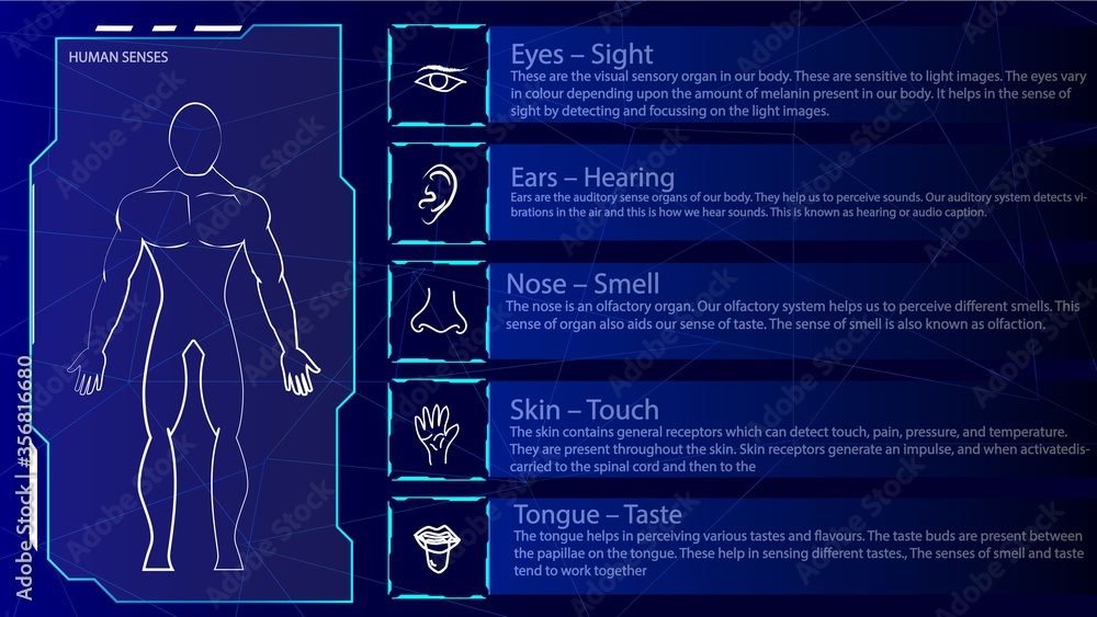 16:9 hud interface,futurastic human body,hud biology elelemt,Display ...