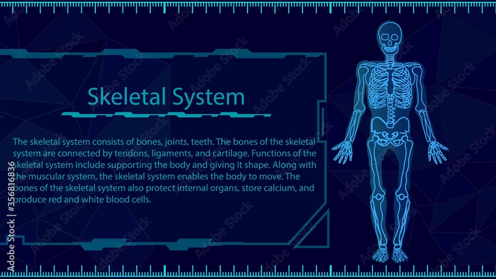 16:9 hud interface,futuristic human body,hud biology elelemt,Display ...
