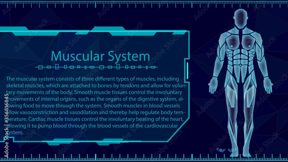 16:9 hud interface, futuristic human body, hud biology element, Display ...
