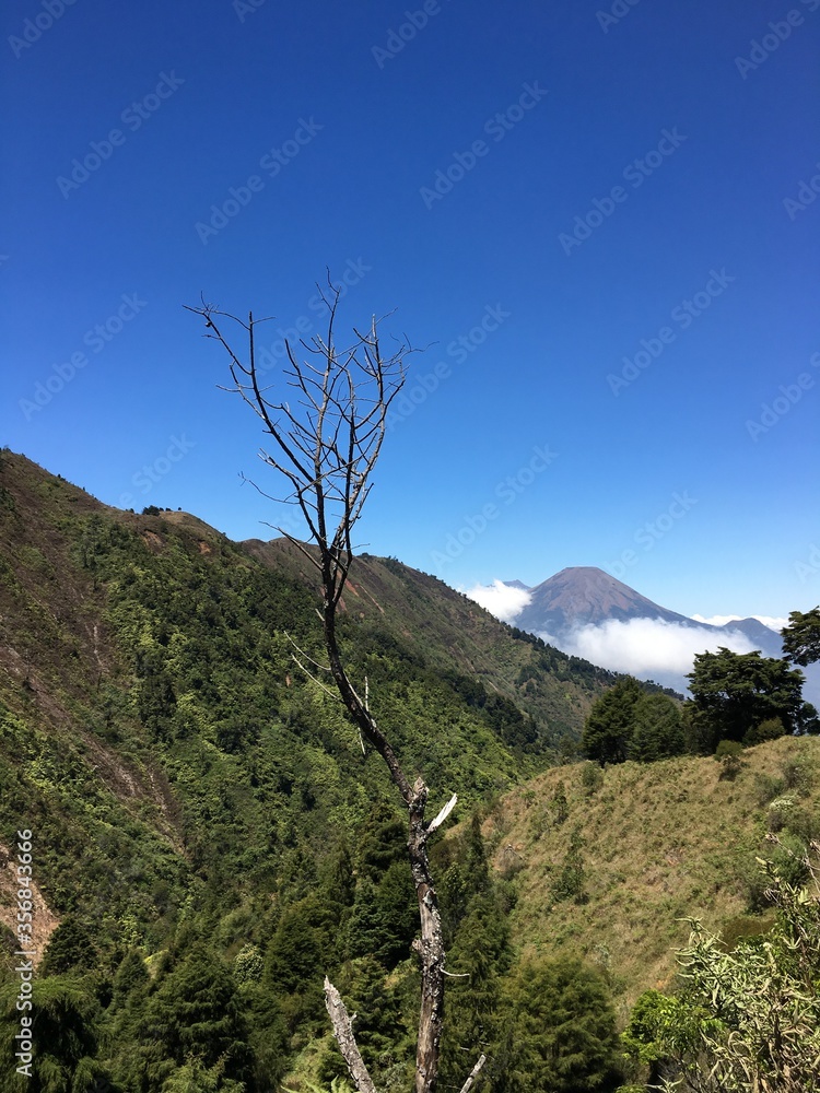 Scenery at Gunung Prau Dieng / Prau Mountain in Dieng. Mount Prau is ...