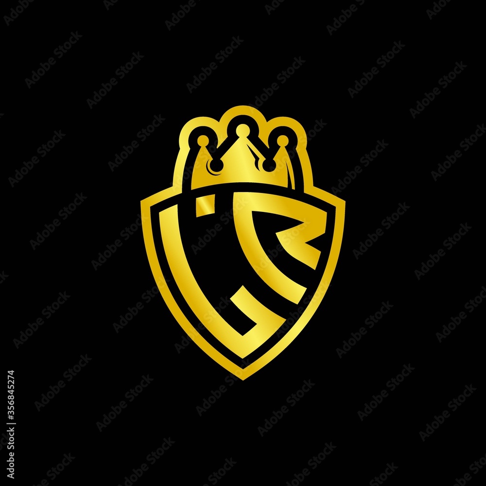 LR monogram logo with shield and crown style design template Stock ...