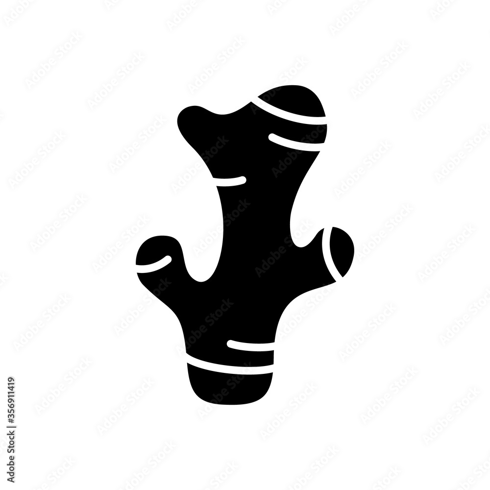 Vetor de Silhouette Ginger root. Outline vegetable tuber icon. Fresh ...
