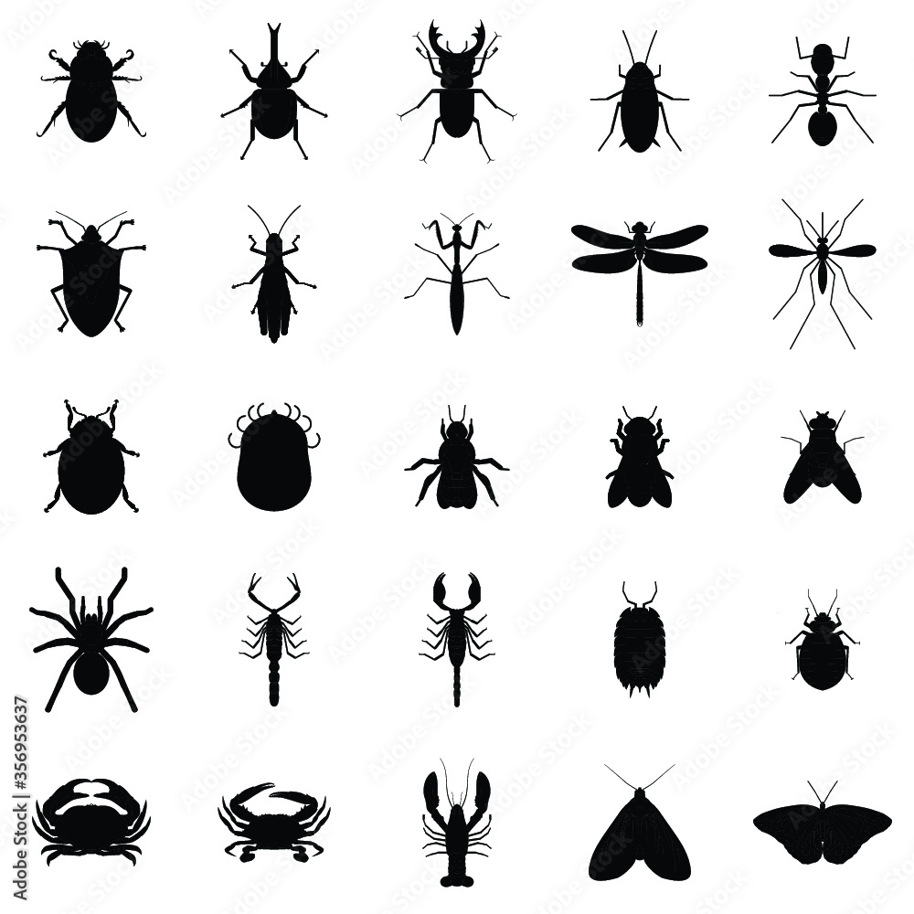 bug insects vector silhouette set Stock Vector | Adobe Stock