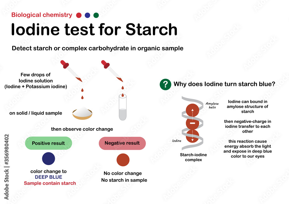 Biology chemistry show experiment of iodine test for detect starch (or ...