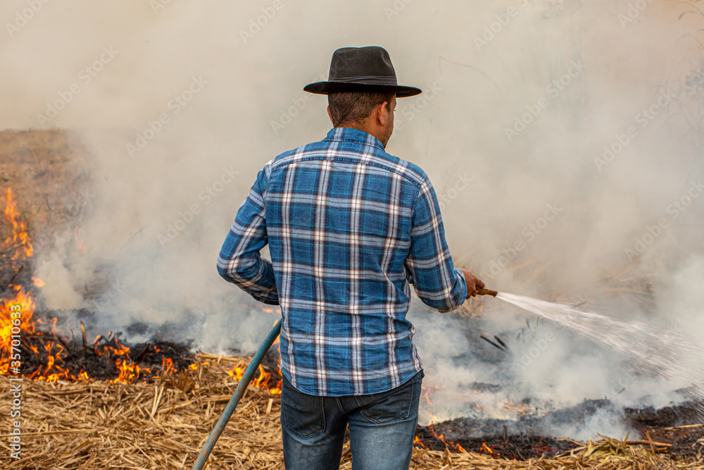 Dry grass burns, natural disaster. Farmer trying to put out the fire. A ...