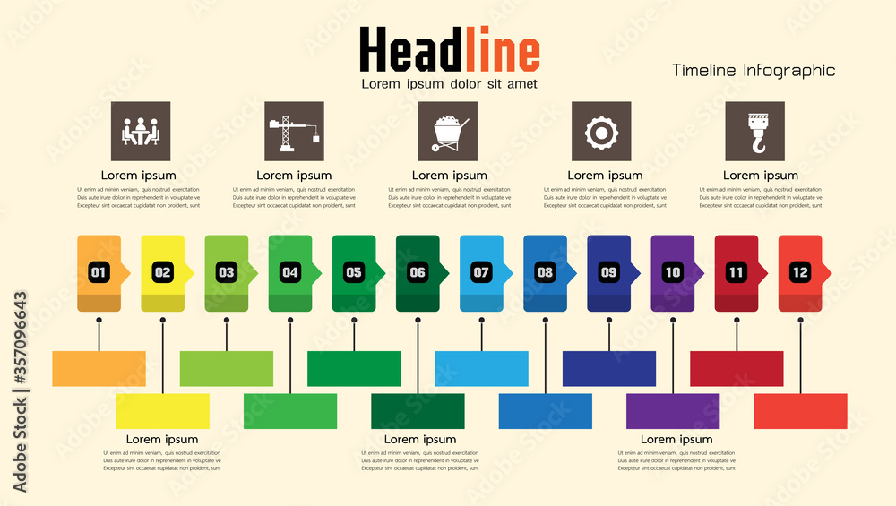 Organization Chart Infographics, Timeline vector infographic, business ...