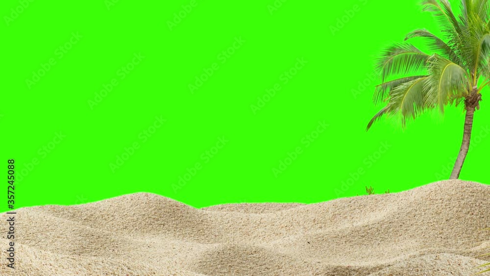 Zoom in sand and palm tree Stock Video | Adobe Stock