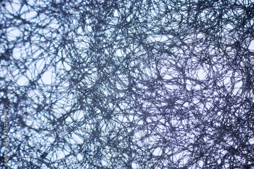 Paper under a microscope Stock Photo | Adobe Stock