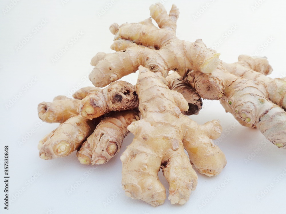 Bitter ginger with white background. Bitter ginger also called Zingiber ...