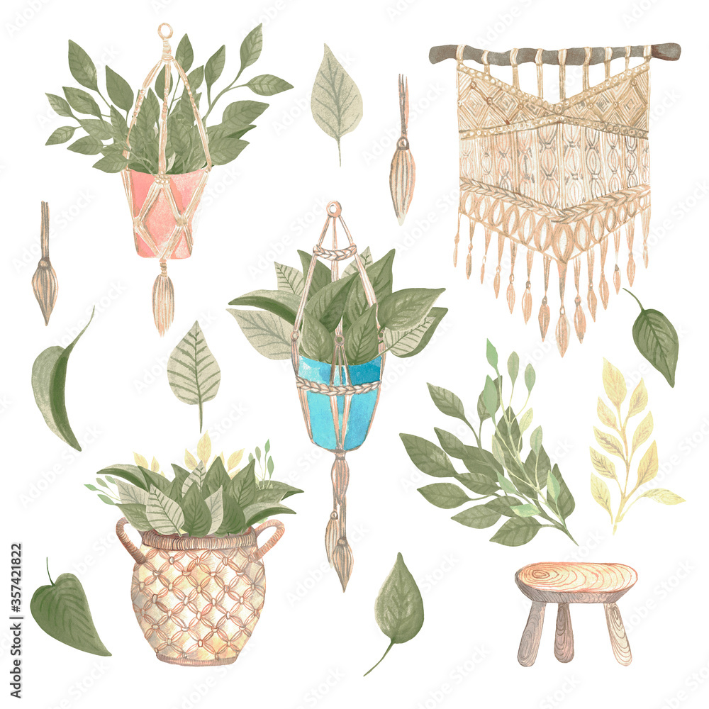 Boho style houseplant in a wicker basket. Watercolor hand-painted cozy ...