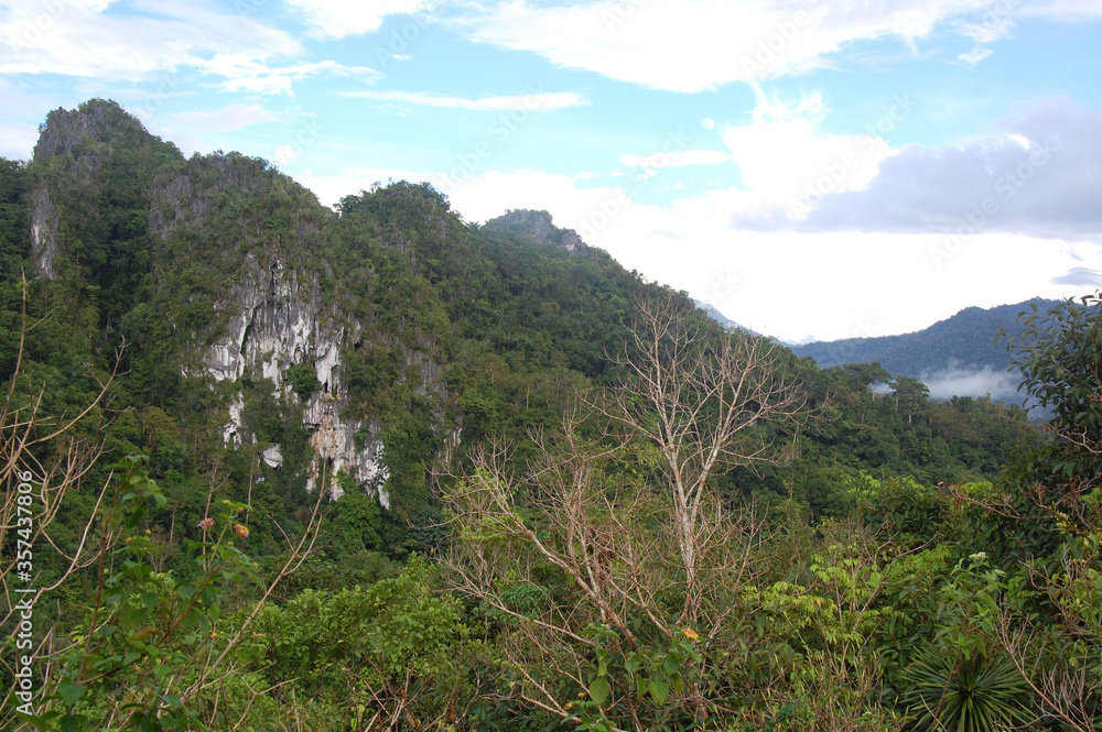 Limestone rock formation with trees in Puerto Princesa, Palawan ...