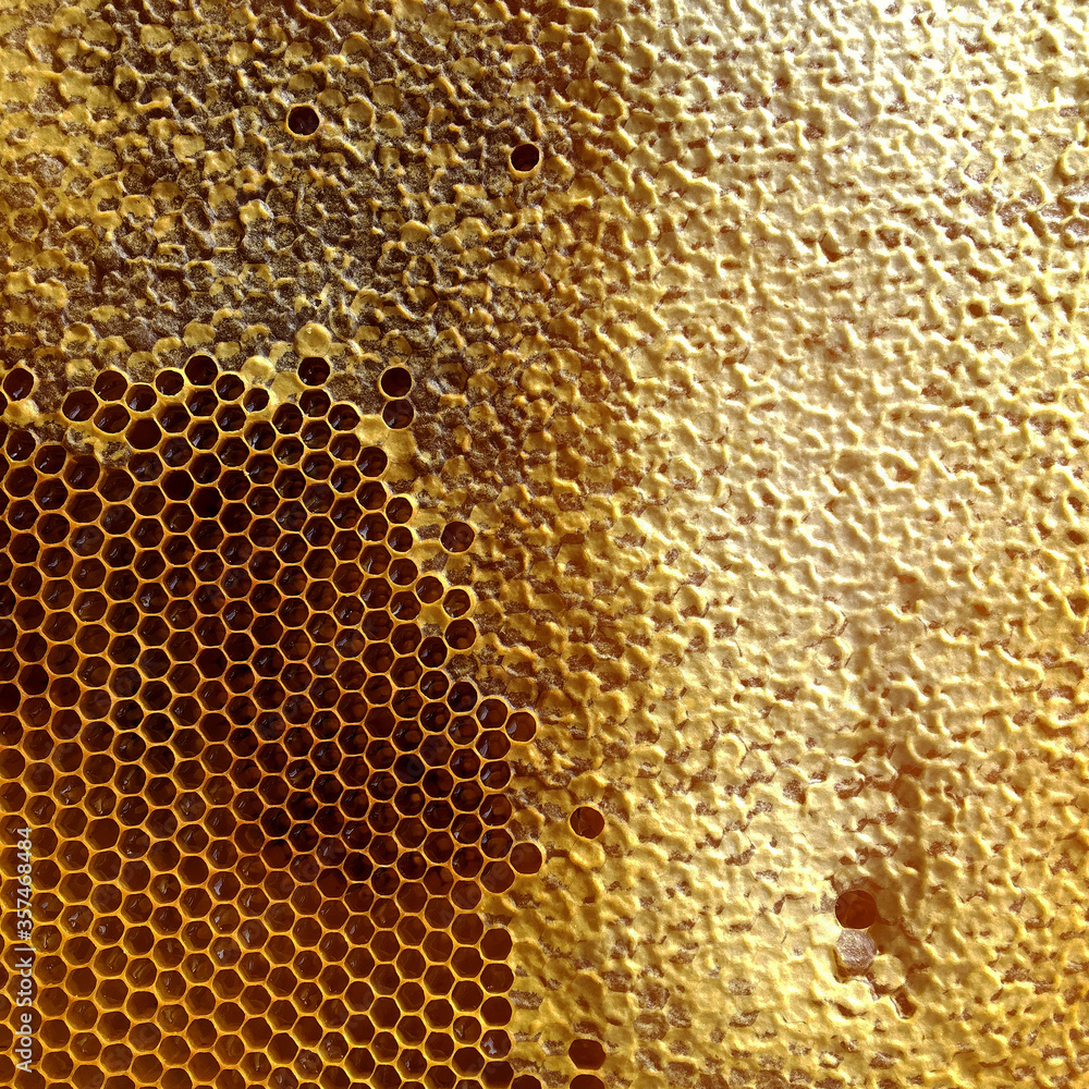 hexagon structure is honeycomb from bee hive filled with golden honey ...