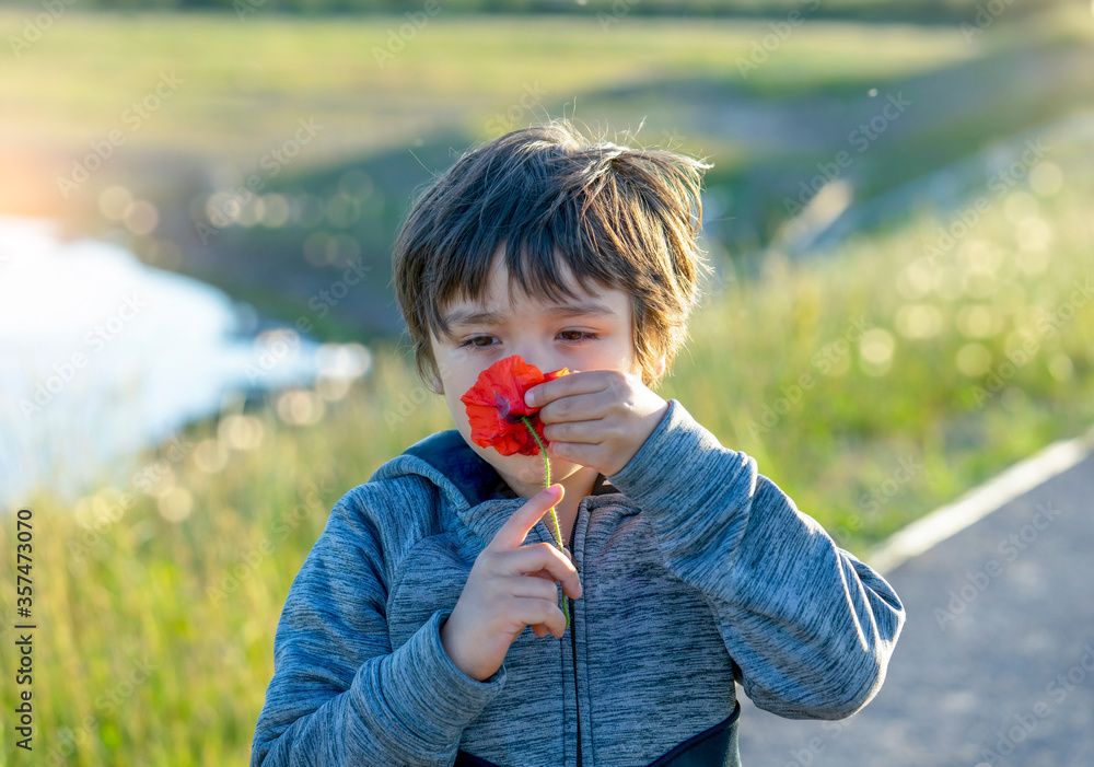 Portrait of adorable boy smelling flower, Candid shot child Smell ...