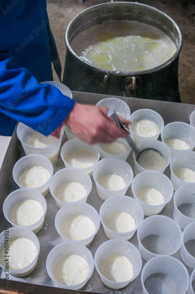The making of ricotta cheese: farmer filling small plastic containers ...