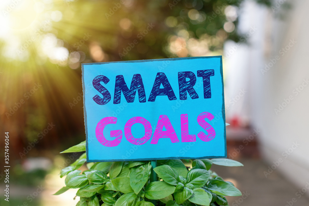 Text sign showing Smart Goals. Business photo text mnemonic used as a ...