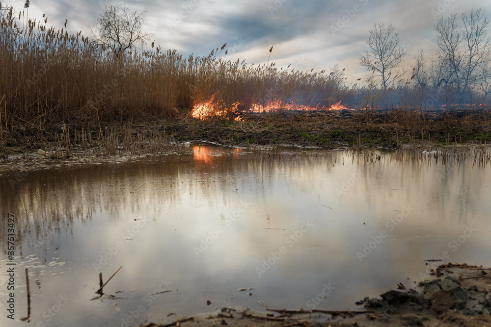 Burning reeds at river. Nature fire landscape. Devastation of wildlife ...