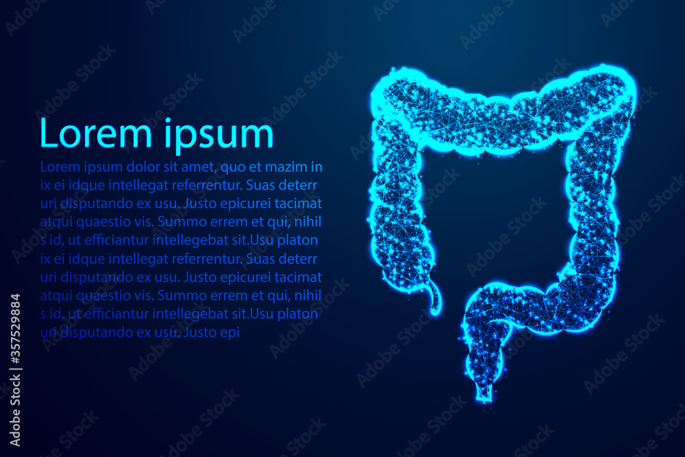 colon, intestine, digestive system, Human Anatomy. Abstract low poly ...