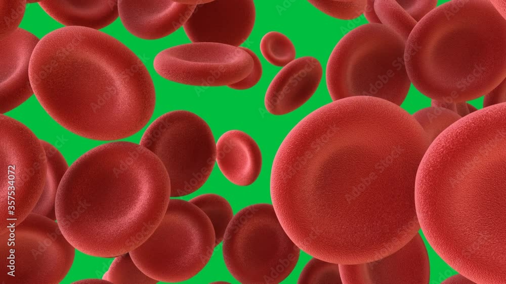 3d rendering red blood cells isolated on green screen background 4k ...
