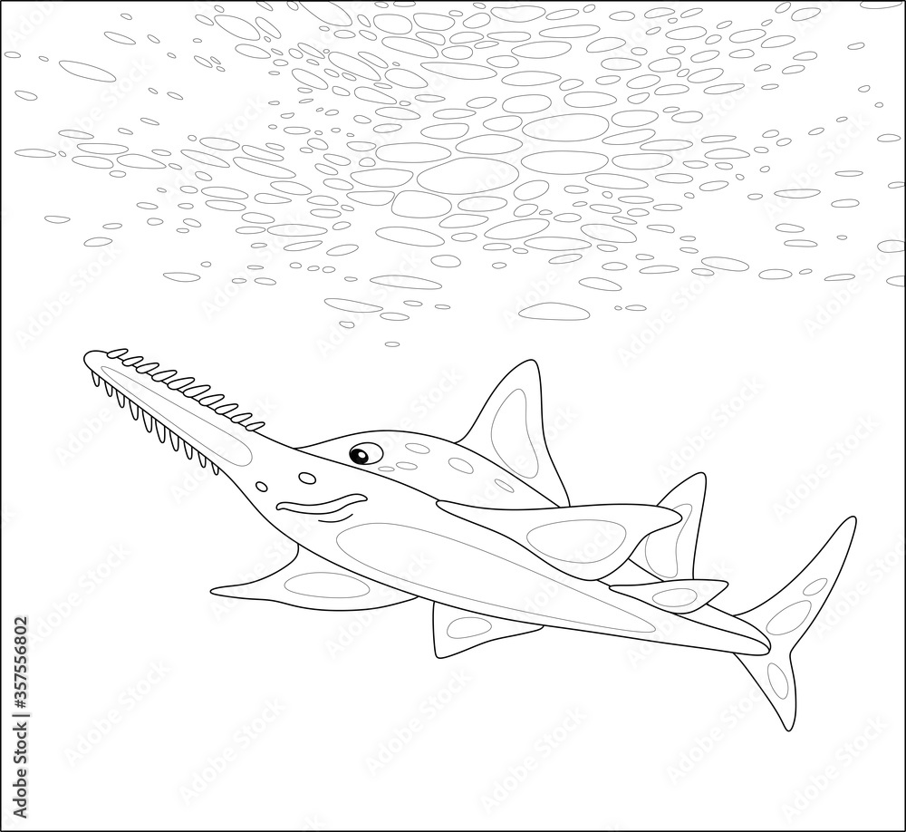 Large sinister marine largetooth sawfish swimming in depth of a ...