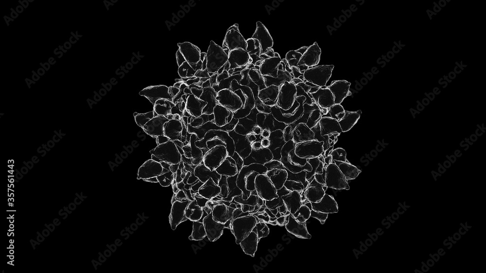 Parvovirus Parvoviridae microscope view single isolated black ...