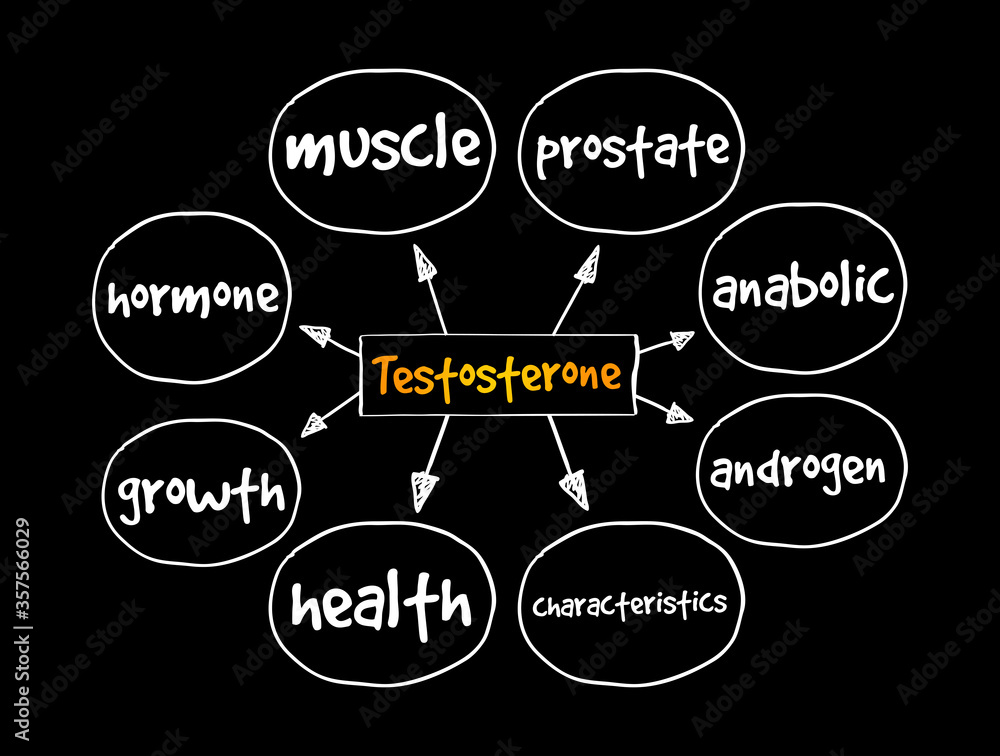 Testosterone mind map, medical concept for presentations and reports ...