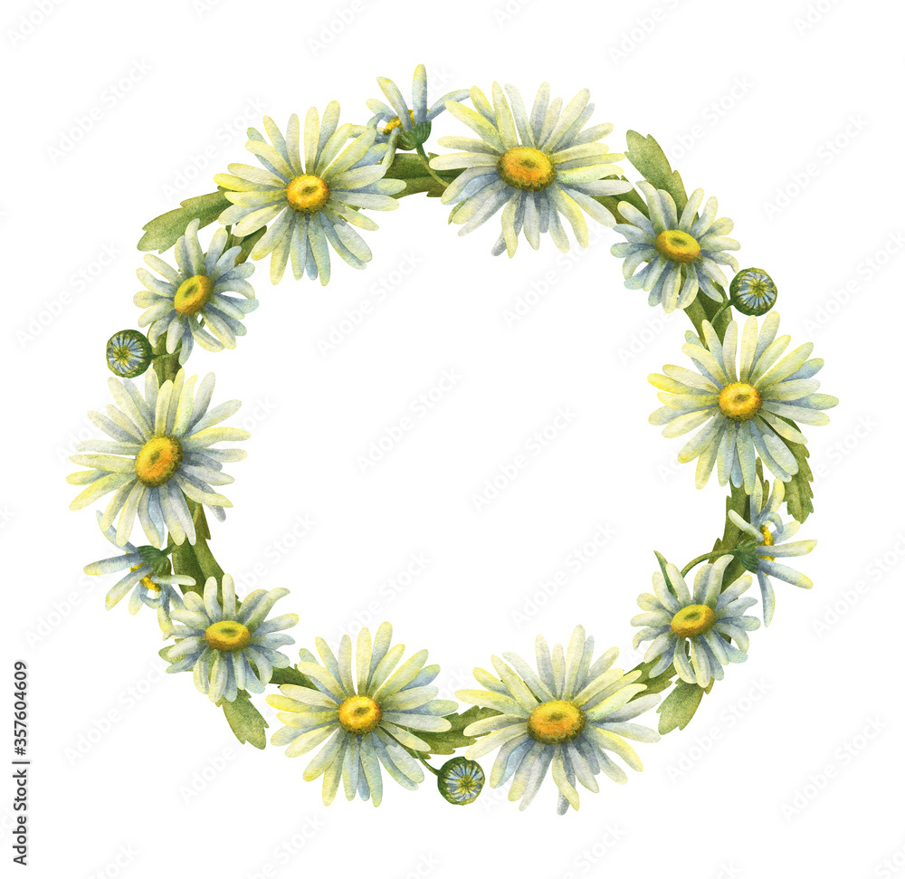 Flower wreath of field daisies. Round frame with white daisies ...