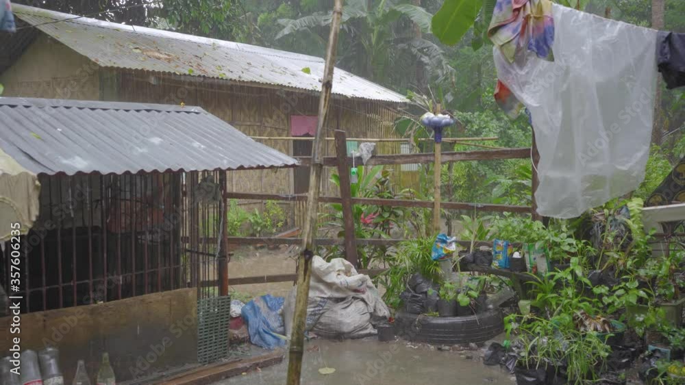 Tropical Storm and Typhoon Heavy Rain Shower In a Backyard of Local ...