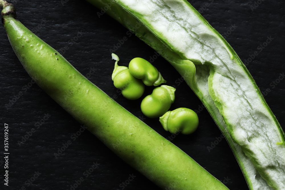Photography of a broad bean pod closed and open and four beans isolated ...