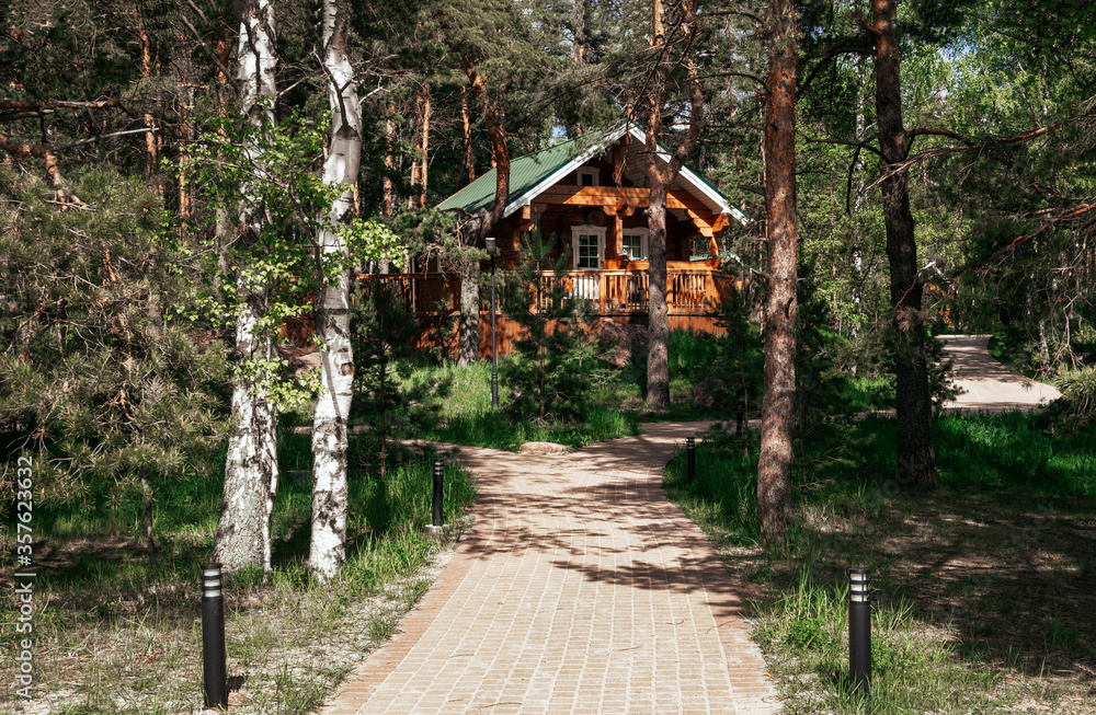 pines , wooden house among trees, Sunny day, path, house in the forest ...
