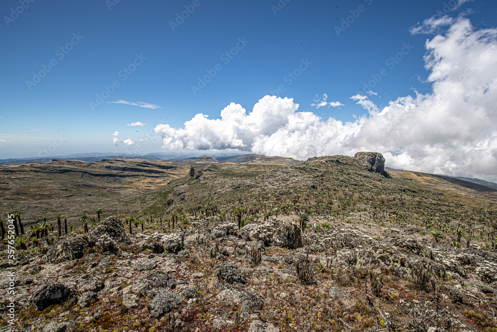 Mount Elgon National Park, Uganda. A rich biodiverse area of protected ...