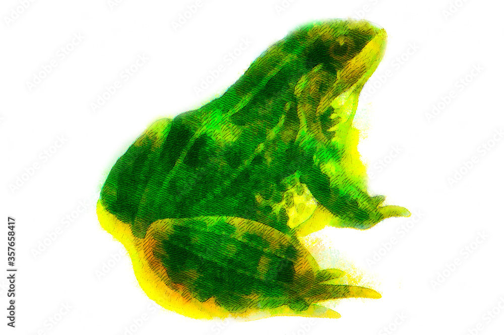 big frog cartoon , watercolor art Stock Illustration | Adobe Stock