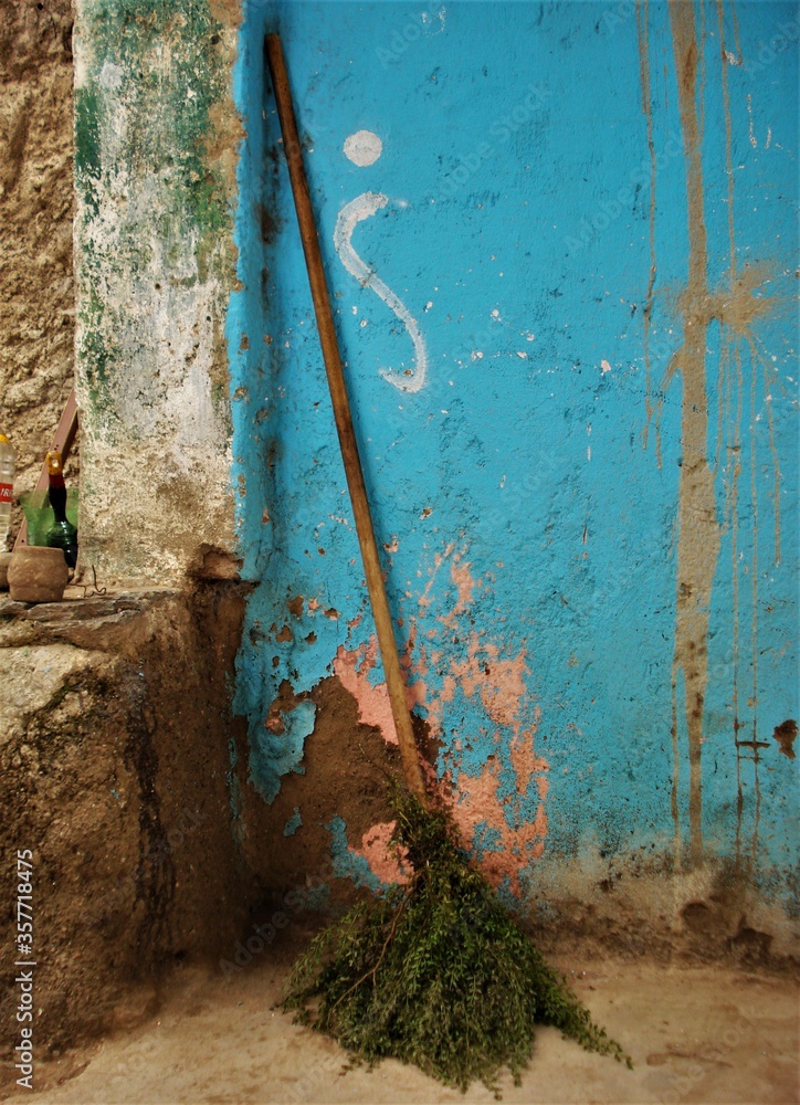 Escoba de campo Stock Photo | Adobe Stock