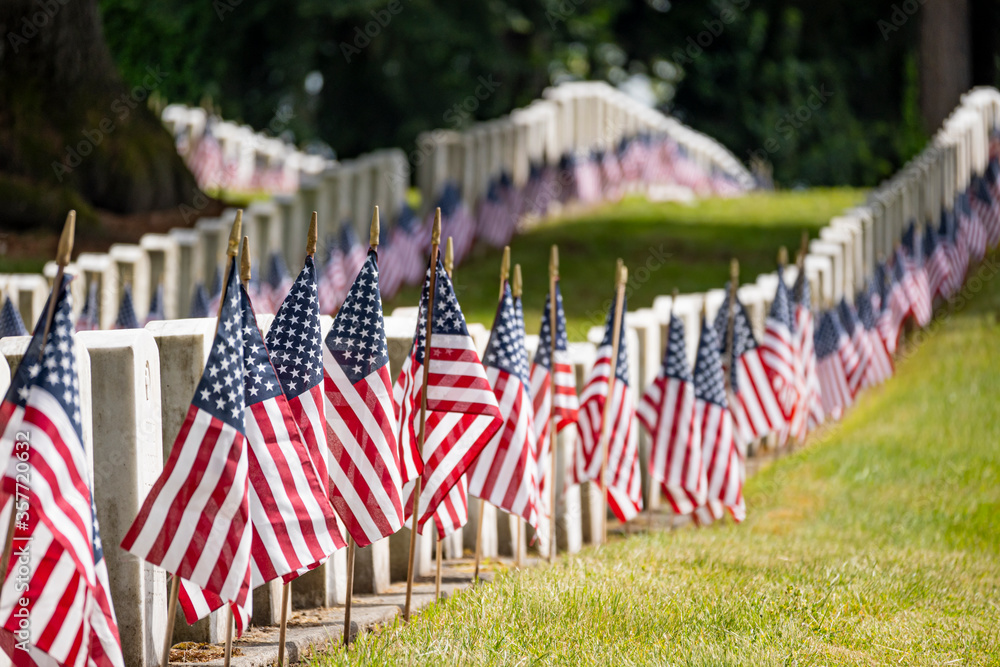 Military headstones and US flags in cemetery foto de Stock | Adobe Stock