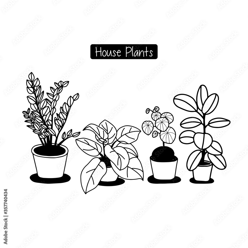 Houseplant in pot. Hand draw sketch vector. Stock Vector | Adobe Stock