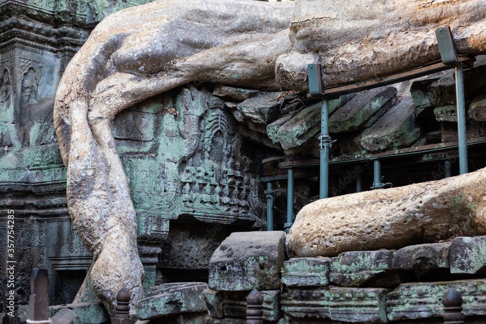 Tree invading ruins at Ta Prohm temple. Metal columns holding the big ...