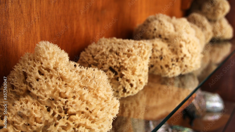 Sea sponges of different shapes and sizes sold at a small shop in Symi ...
