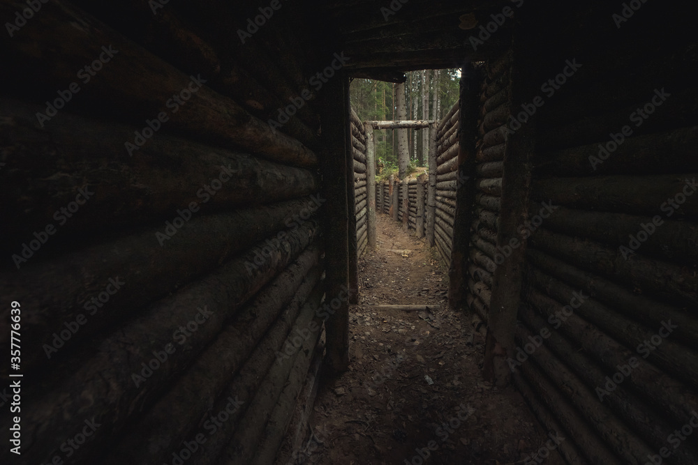 Wooden military dugout in the forest Stock Photo | Adobe Stock