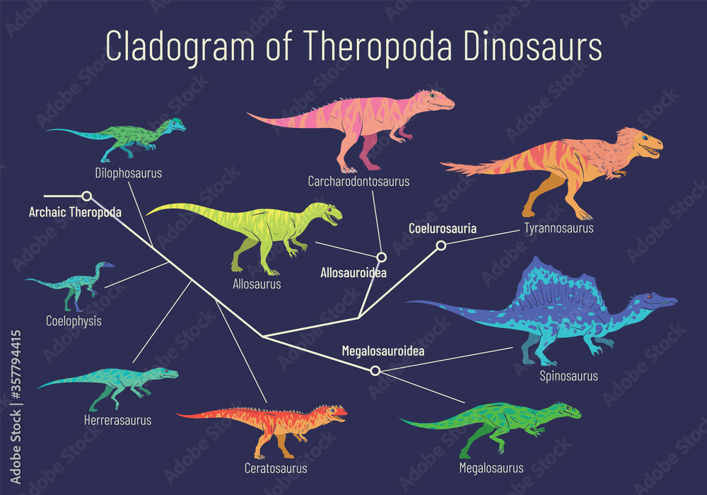 Cladogram of theropoda dinosaurs. Colorful vector illustration on blue ...