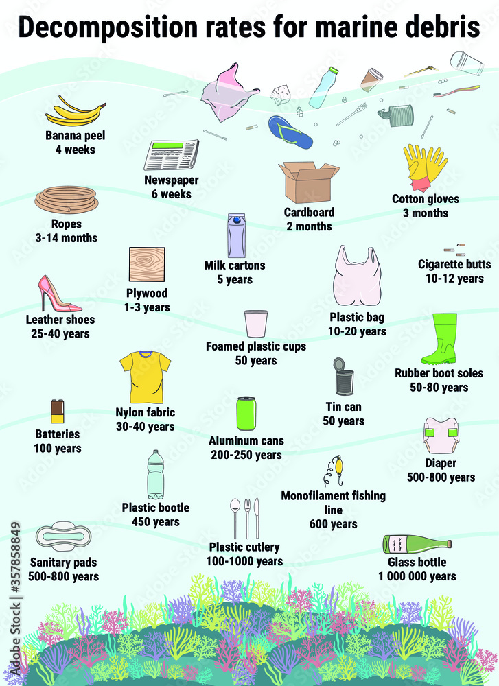 Decomposition rates for marine debris. How long does it take to ...