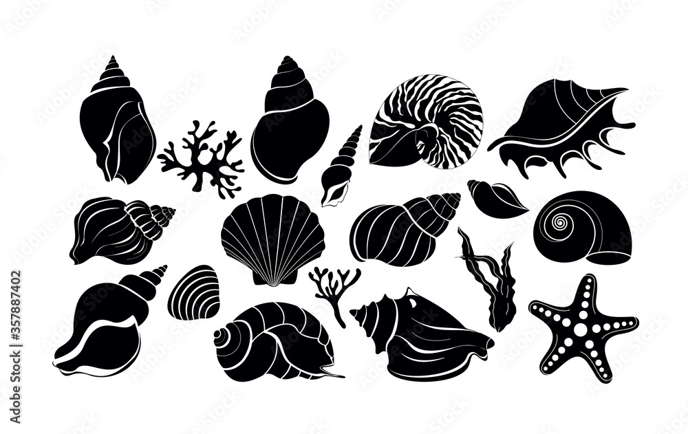 Shell Silhouette