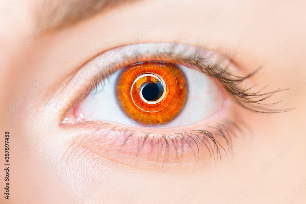 Hypnosis Spiral in eye - Image of abstract spiral hazel eye Stock Photo ...