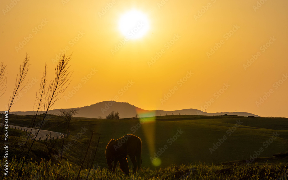 美しい夕焼け空と阿蘇大観峰風景 夕焼けの輝きに馬のシルエット 日本 Beautiful sunset sky and Aso Daikanbo ...