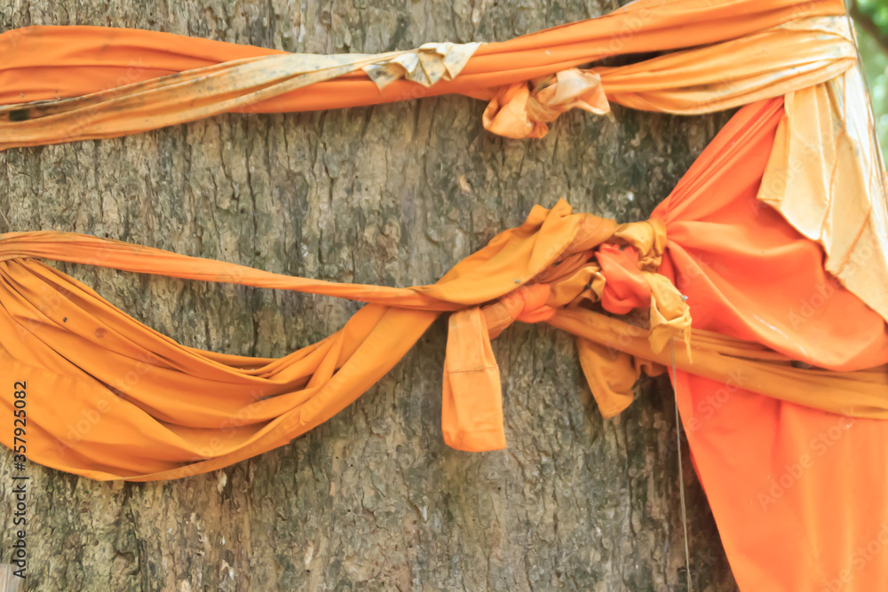 Tree ordination, robe of Buddhist monk wrap around tree trunk. Ceremony ...