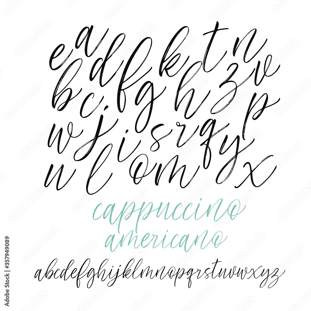 Vector hand drawn alphabet. Hand drawn brush style modern calligraphy ...
