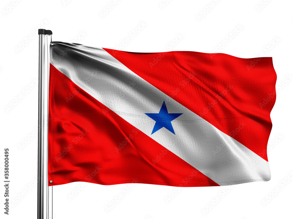 Para flag. One of the states of Brazil. White background. Stock ...