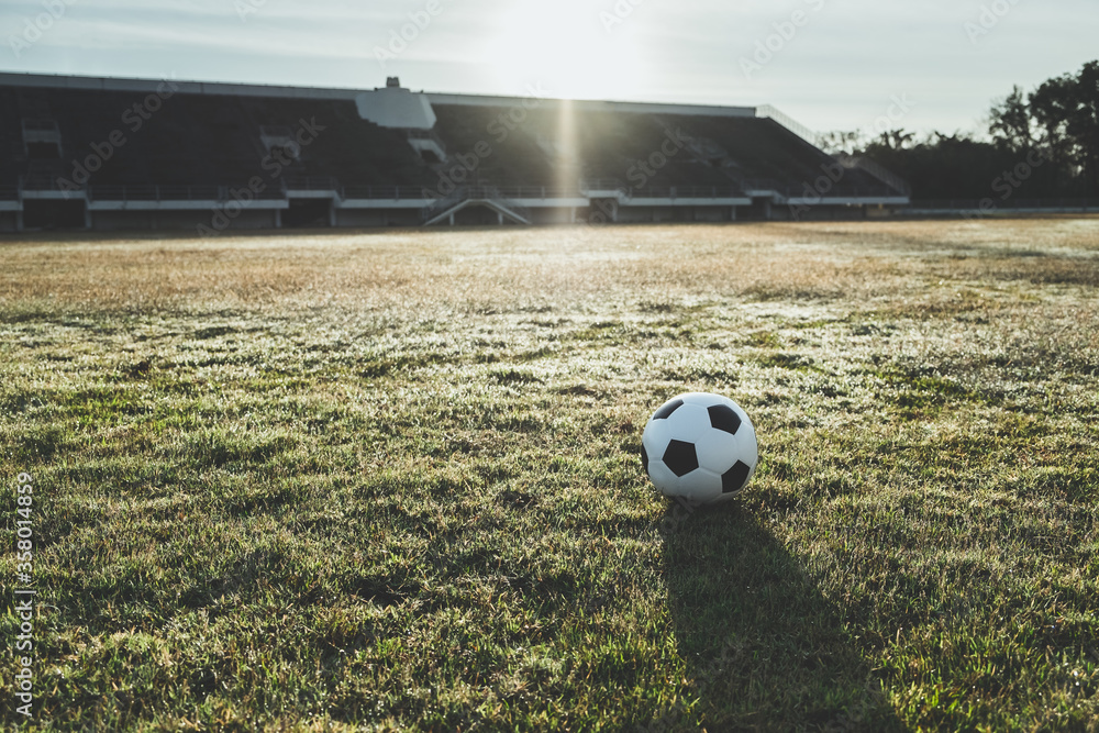 Beautiful view of classic leather soccer ball on green grass field in ...