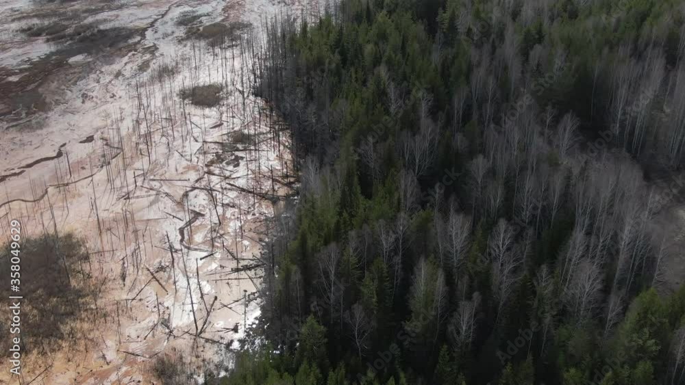 Catastrophic forest dying aerial view. Climate change caused drought ...