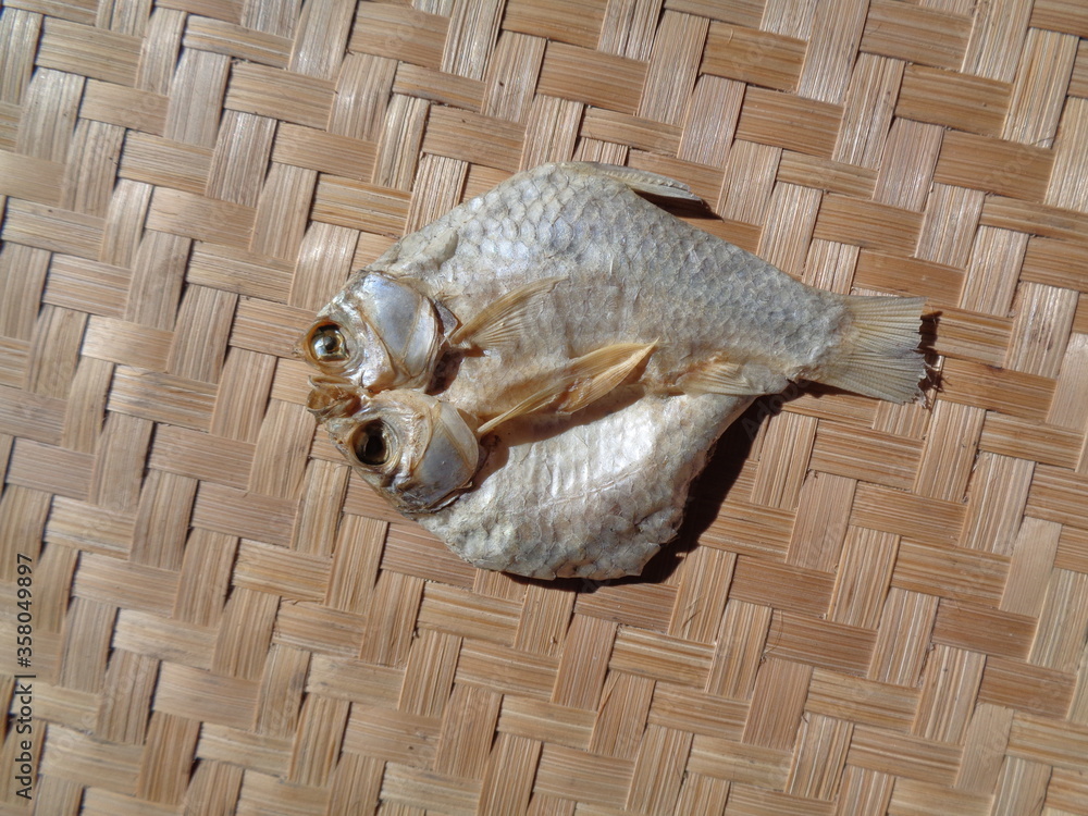 Salted fish drying process with a natural background. Raw fish ...